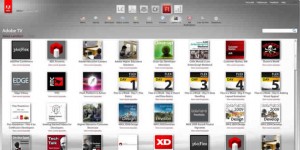 Adobe Enterprise Café | Assure Dynamics developing dynamic LiveCycle and Flex solutions
